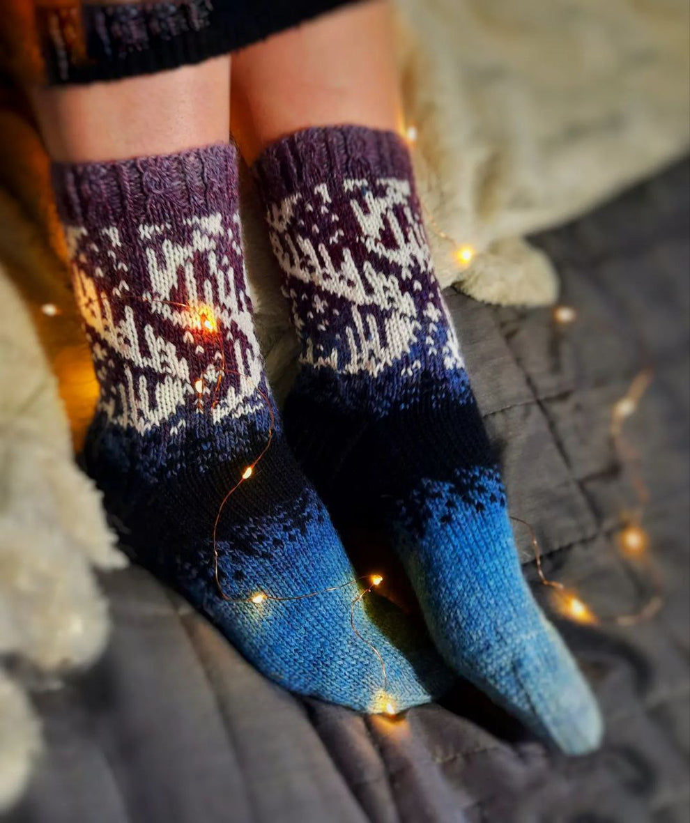 Auroora-neuleohjepaketti – Lankajengi